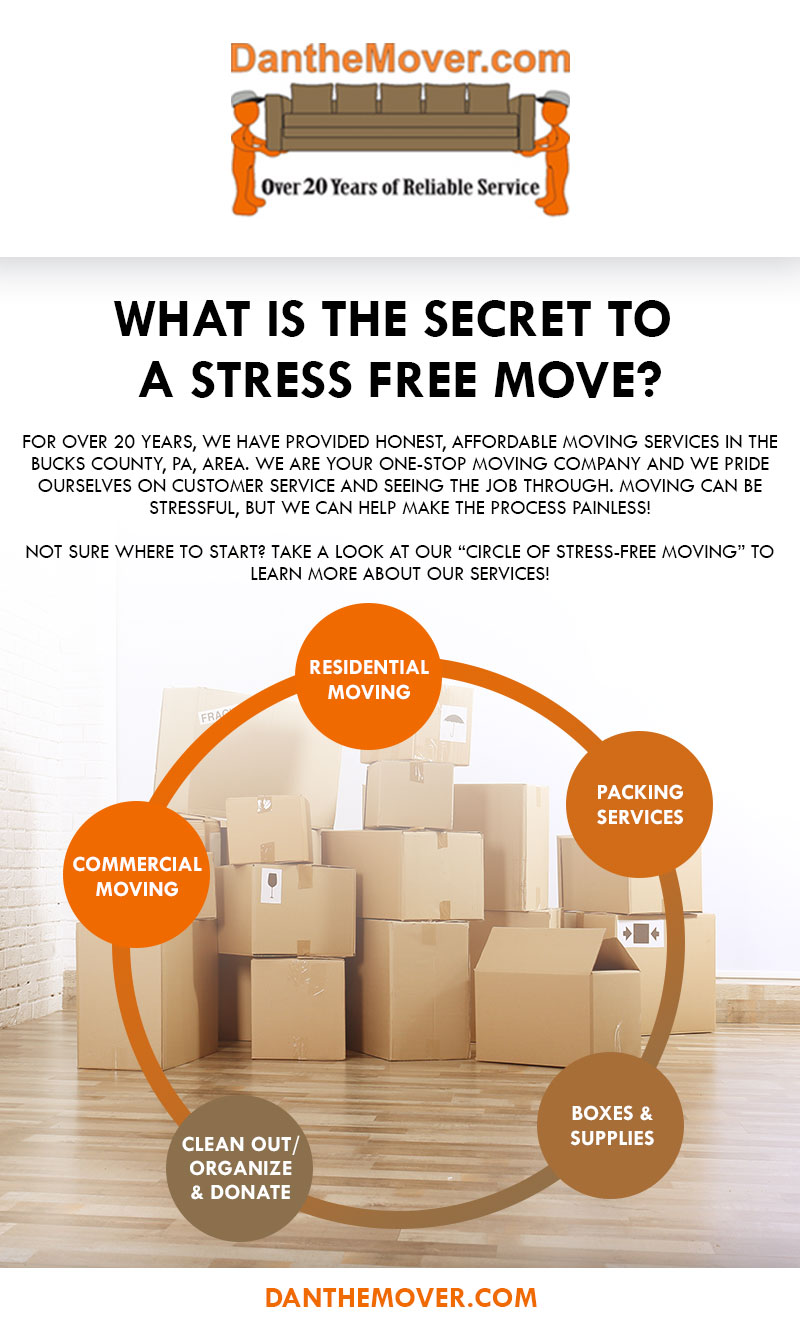 Infographic Archives - Dan The Mover